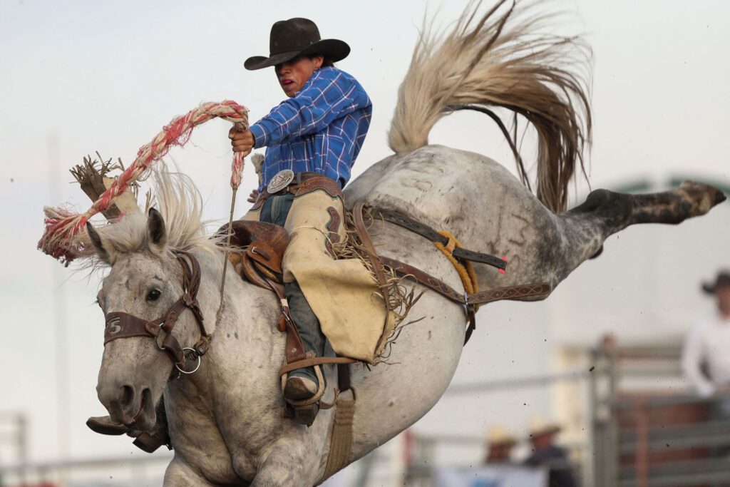 Home - San Diego Rodeo